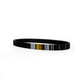 Ultimax Belts by Timken Ultimax XS Drive Belt - XS801 for Select Arctic ...